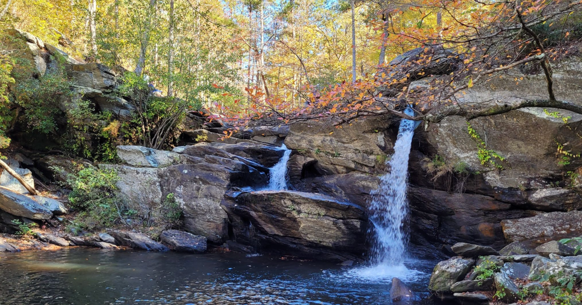 18 Best Hikes In Alabama: Top-Rated Hiking Trails To Visit