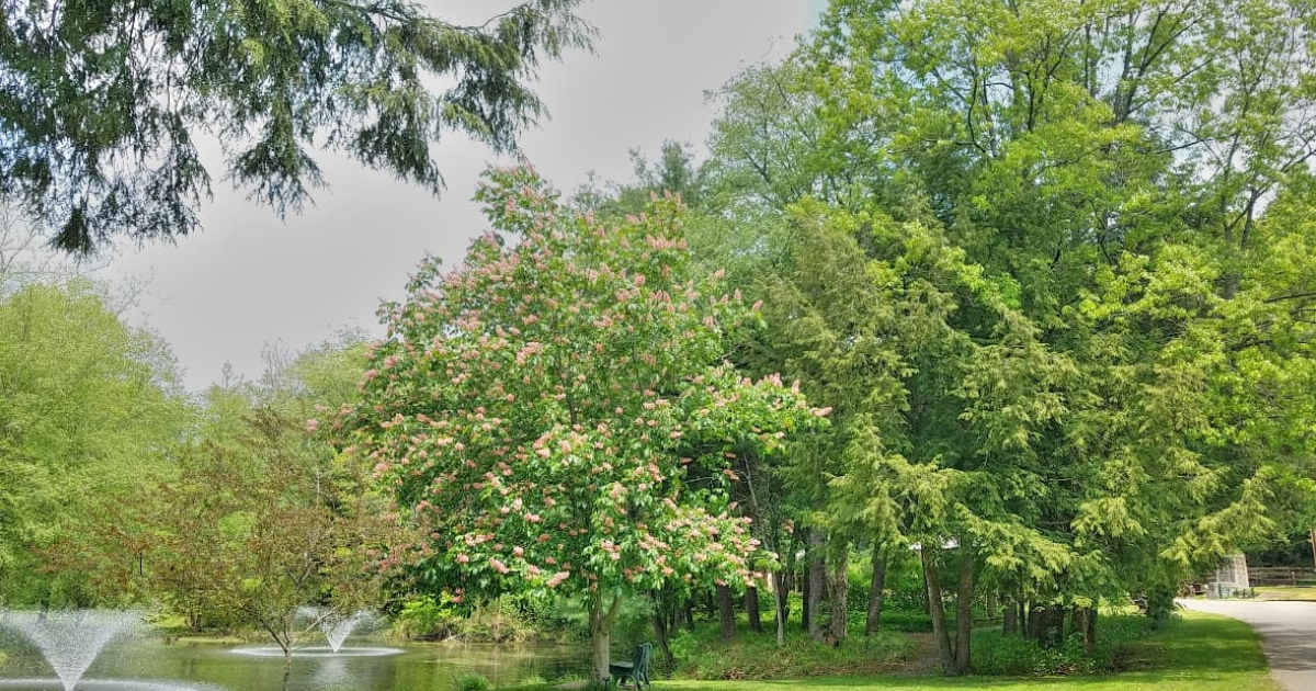 Spend A Weekend In The Small Town Of Titusville, Pennsylvania