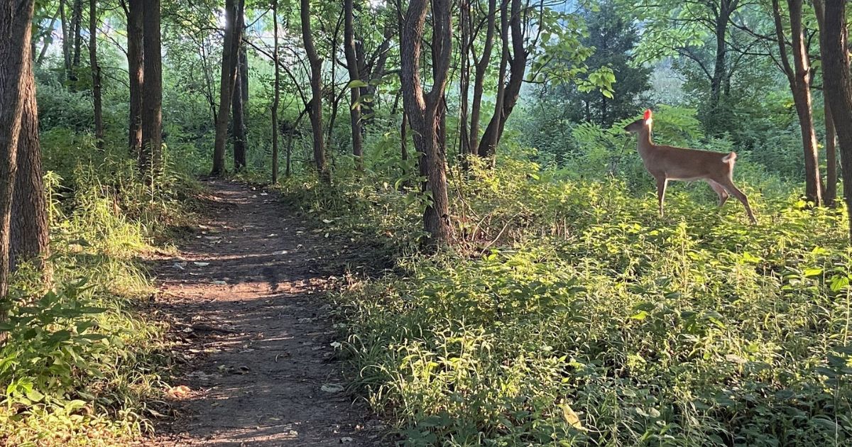 Come Hike One Of The Best Trails In Indiana This Season