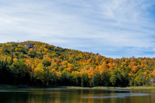 See Why Ripton, Vermont Is A Peaceful Place To Live
