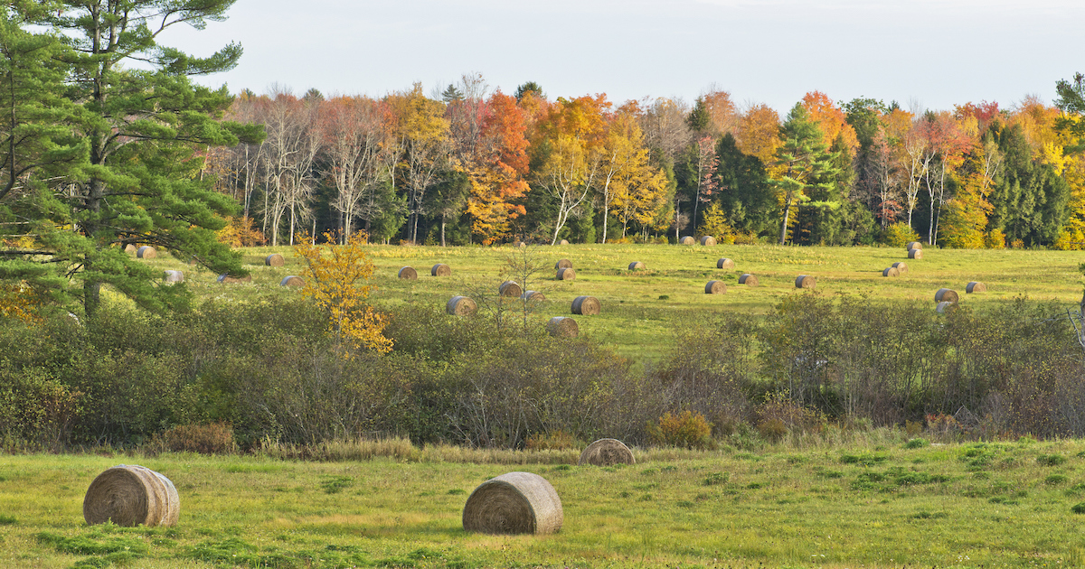 Durham, Maine: Author Stephen King's Hometown