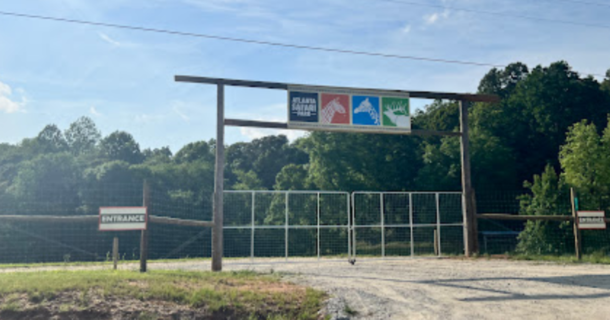 The Atlanta Safari Park In Commerce, GA Lets You Feed Zebras