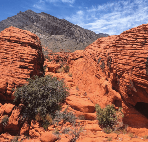 Little Red Rock: A Miniature Natural Wonder Near Las Vegas