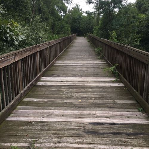 18 Best Hikes in Delaware: Top-Rated Hiking Trails to Visit