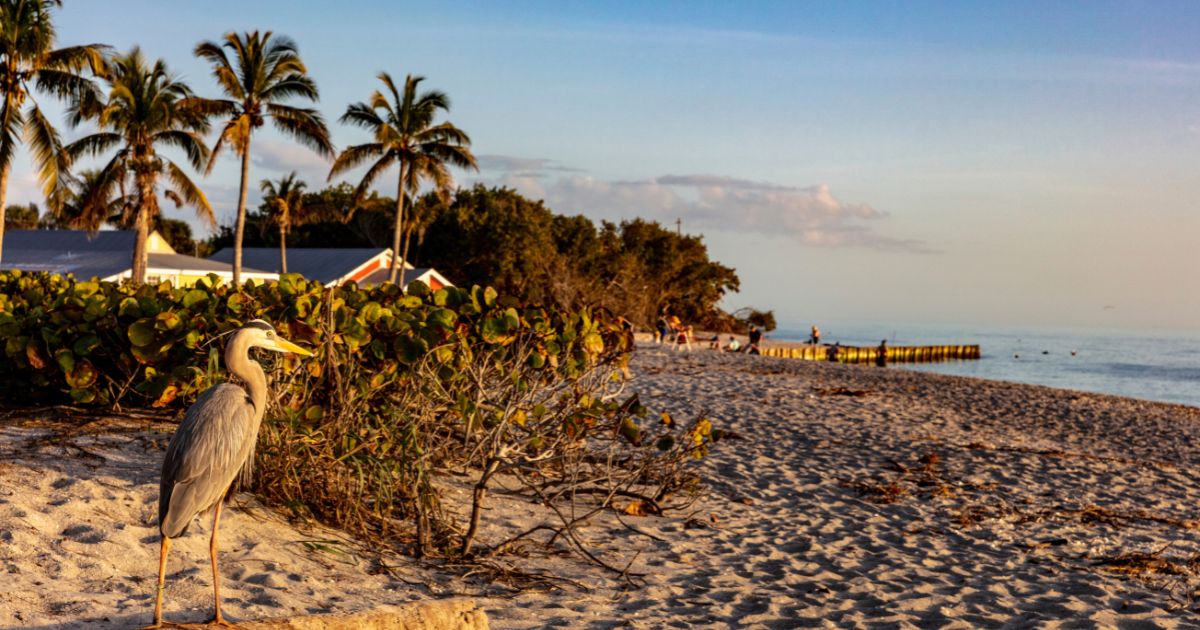 Islands in the U.S.: 22 Tropical Getaways to Visit