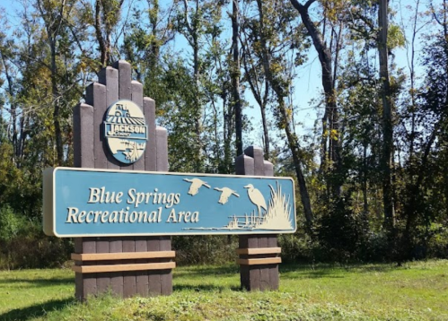 Jackson Blue Springs: A Hidden Gem Spring In Marianna, Florida