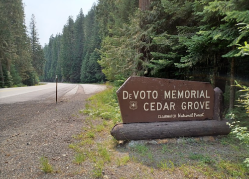 This Ancient Cedar Grove Is Most Underrated Destination In Idaho