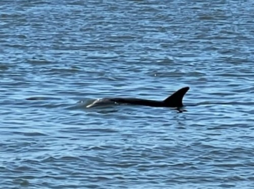 Fun Things To Do In Charleston: Explore Its Barrier Islands
