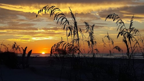 Fun Things To Do In Charleston: Explore Its Barrier Islands