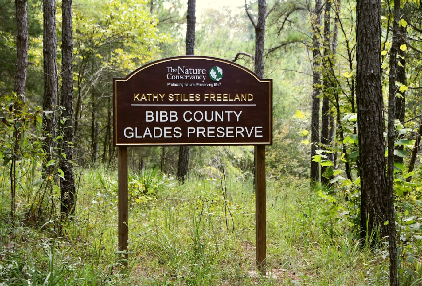 Kathy Stiles Freeland Bibb County Glades Preserve In Brierfield ...