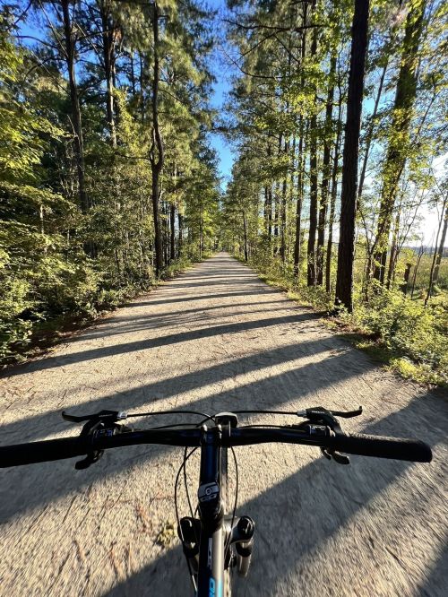 American Tobacco Trail: One Of The Best Rail Bike Tours In NC