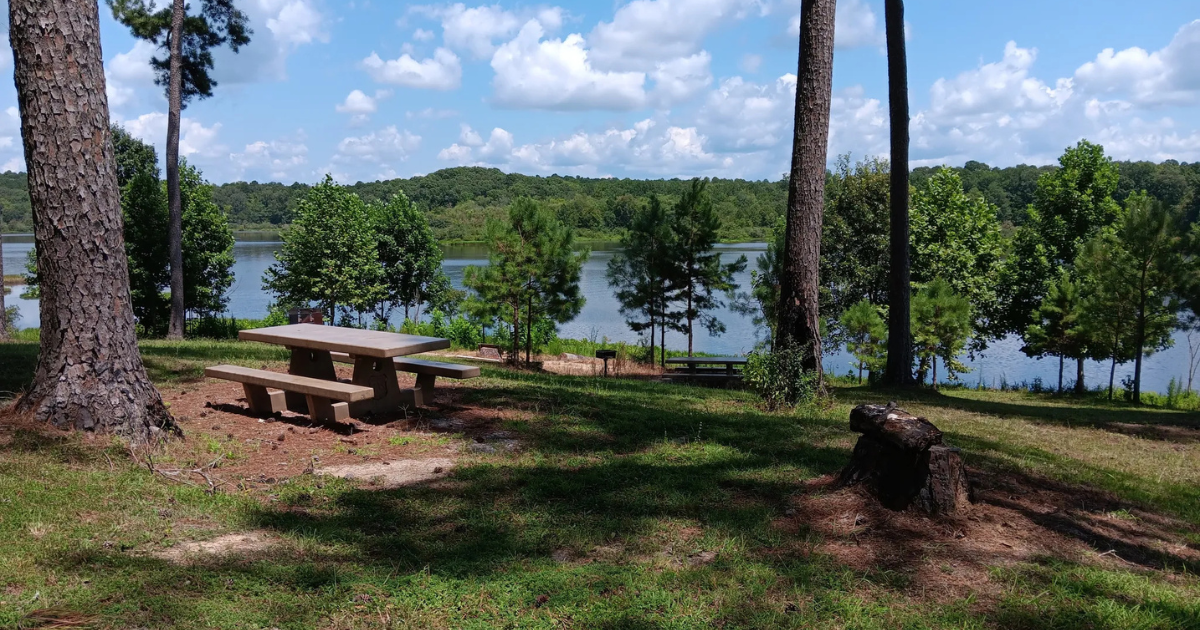 The 8 Best Swimming Holes in Mississippi