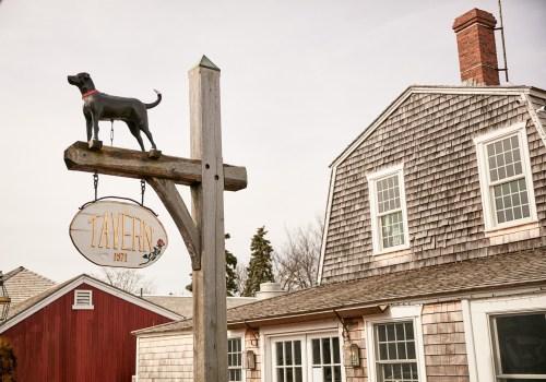 Black Dog: Iconic Dog-Inspired Restaurant Chain in Massachusetts