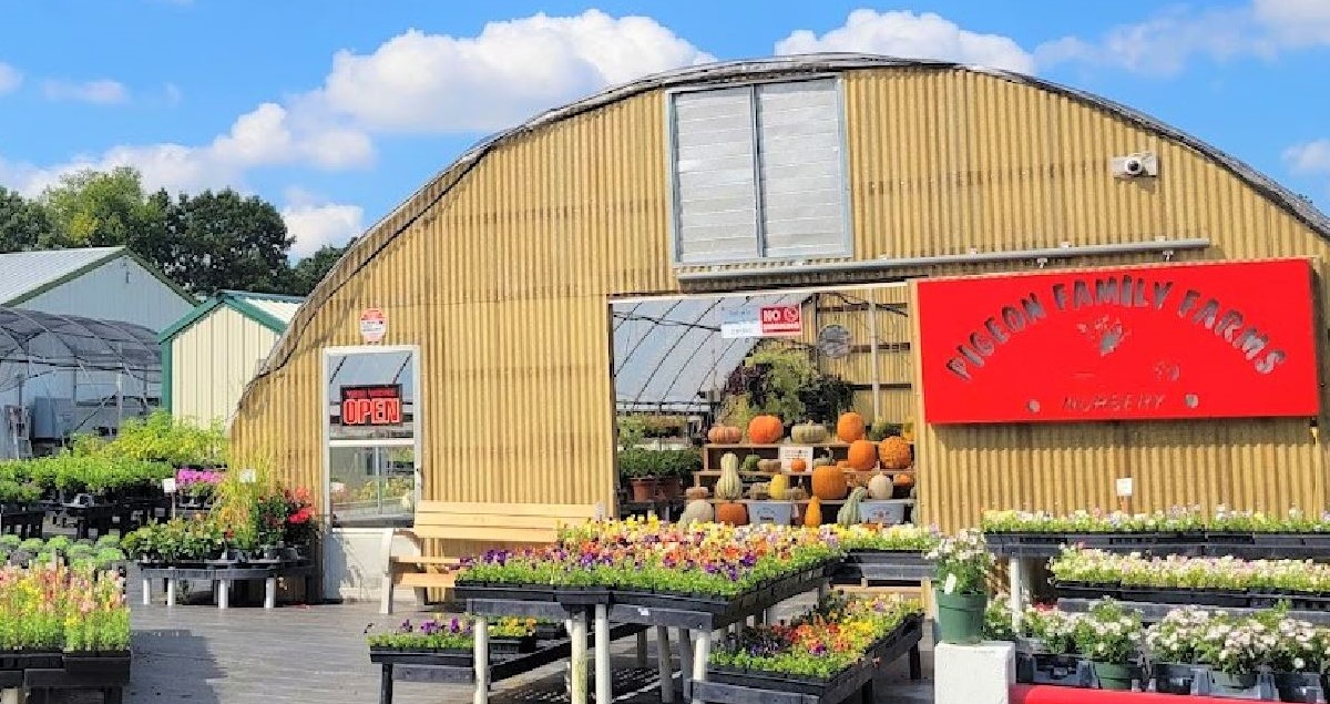 Family Farm In Arkansas: Pigeon Family Farms In Siloam Springs