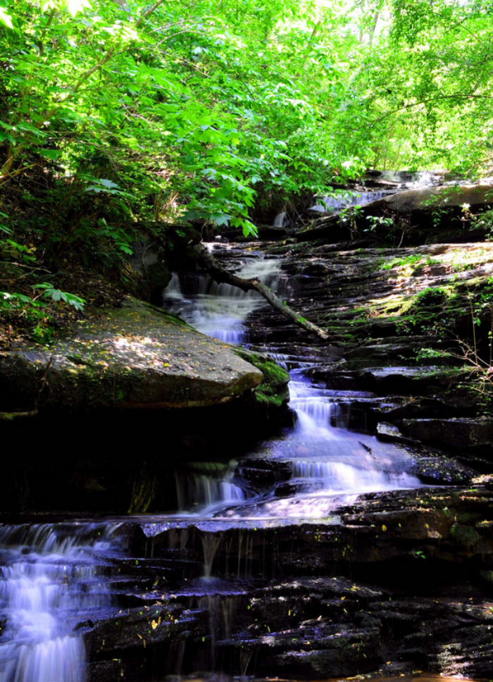 Nectar Falls In Alabama: A Hidden Natural Wonder