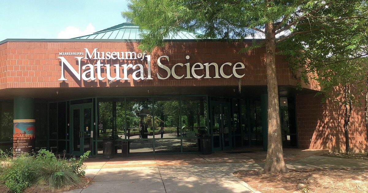Mississippi Dinosaur Museum: A Must-Visit Family Attraction