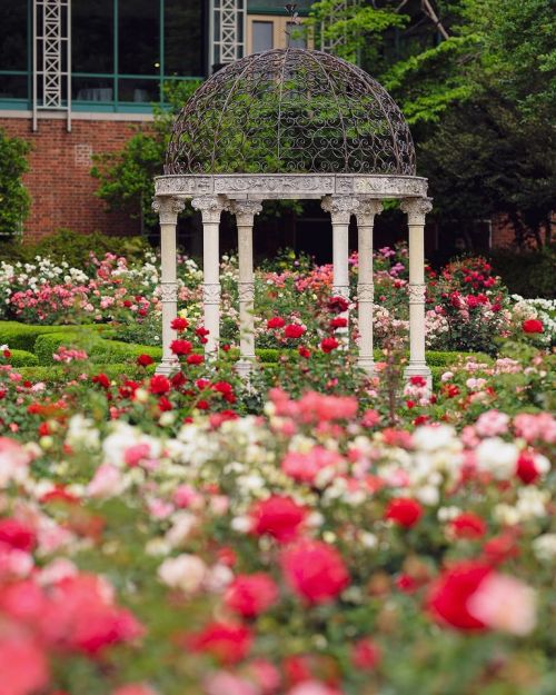 2-day Itinerary: Outdoor Adventures And Activities In South Carolina