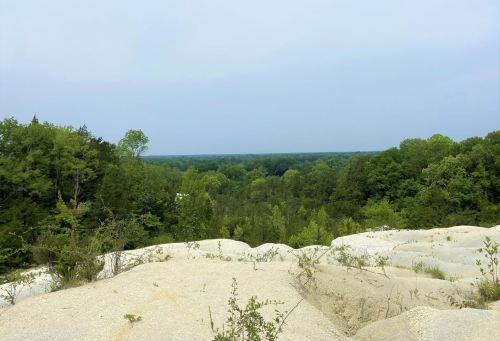 Hidden Natural Wonder In Arkansas: White Cliffs In Lockesburg