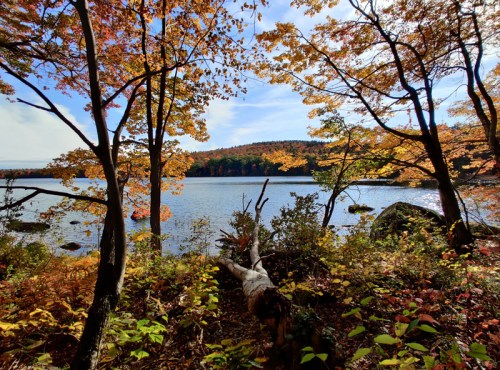 Antrim's Willard Pond Is An Excellent New Hampshire Day Trip