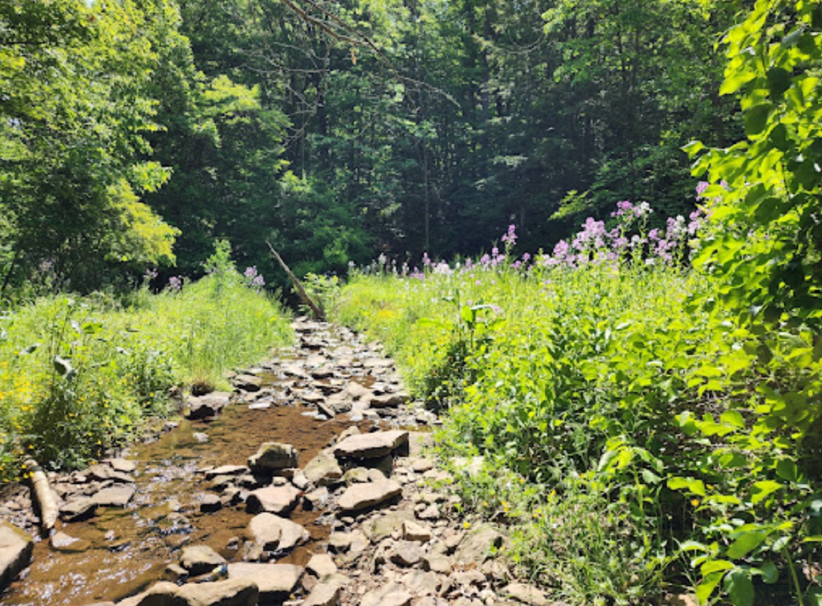 This Off-The-Beaten-Path Park In Pennsylvania Is The Perfect Place To ...