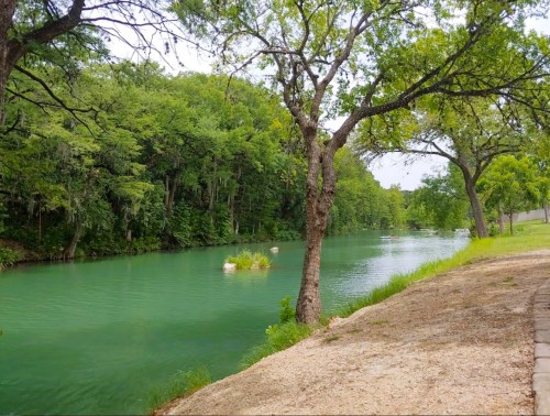 Longest Float Trip Near Austin: Guadalupe River Tubing