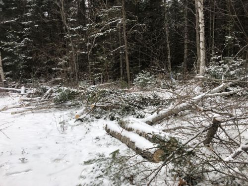 Camp Mercer CCC Trail Is A Historic Wisconsin Hiking Trail