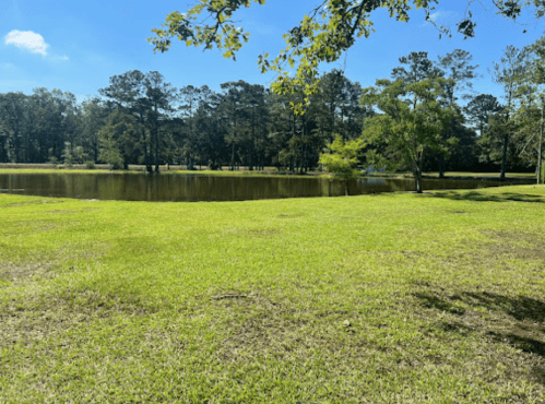 Tangi Pines: A New And Improved Campground In Louisiana