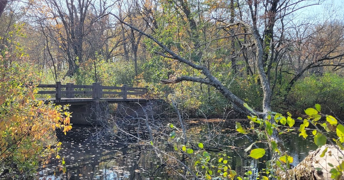 Isle of Ferns Is a Scenic Wisconsin Island