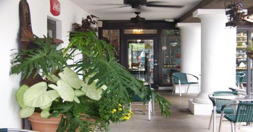 Monjunis: One Of The Best Italian Restaurants In Louisiana
