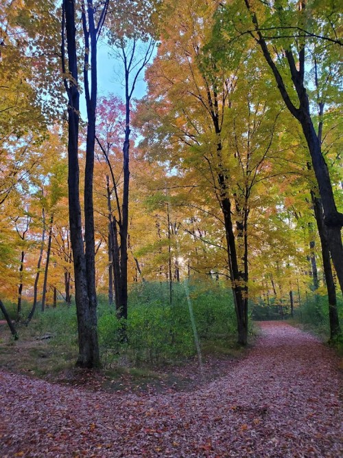 Springbrook Trail Is A Scenic Wisconsin Walk