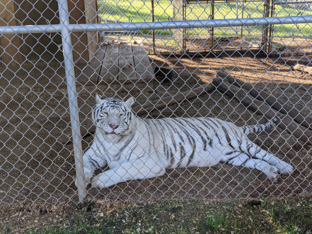 The Barry R Kirshner Wildlife Sanctuary: A Northern California Gem