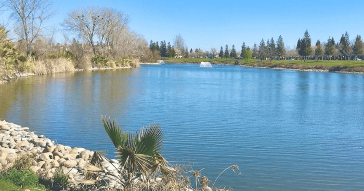 North Natomas Regional Park: Tons Of Fun In Northern California