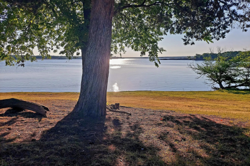 The Haunted Parallel Forest in Oklahoma Is Truly, Deeply Creepy