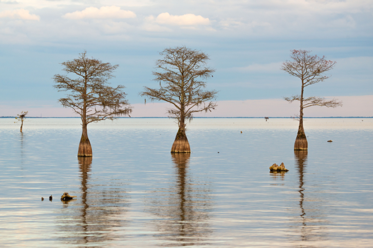 The 15 Best Day Trips in South Carolina to Take