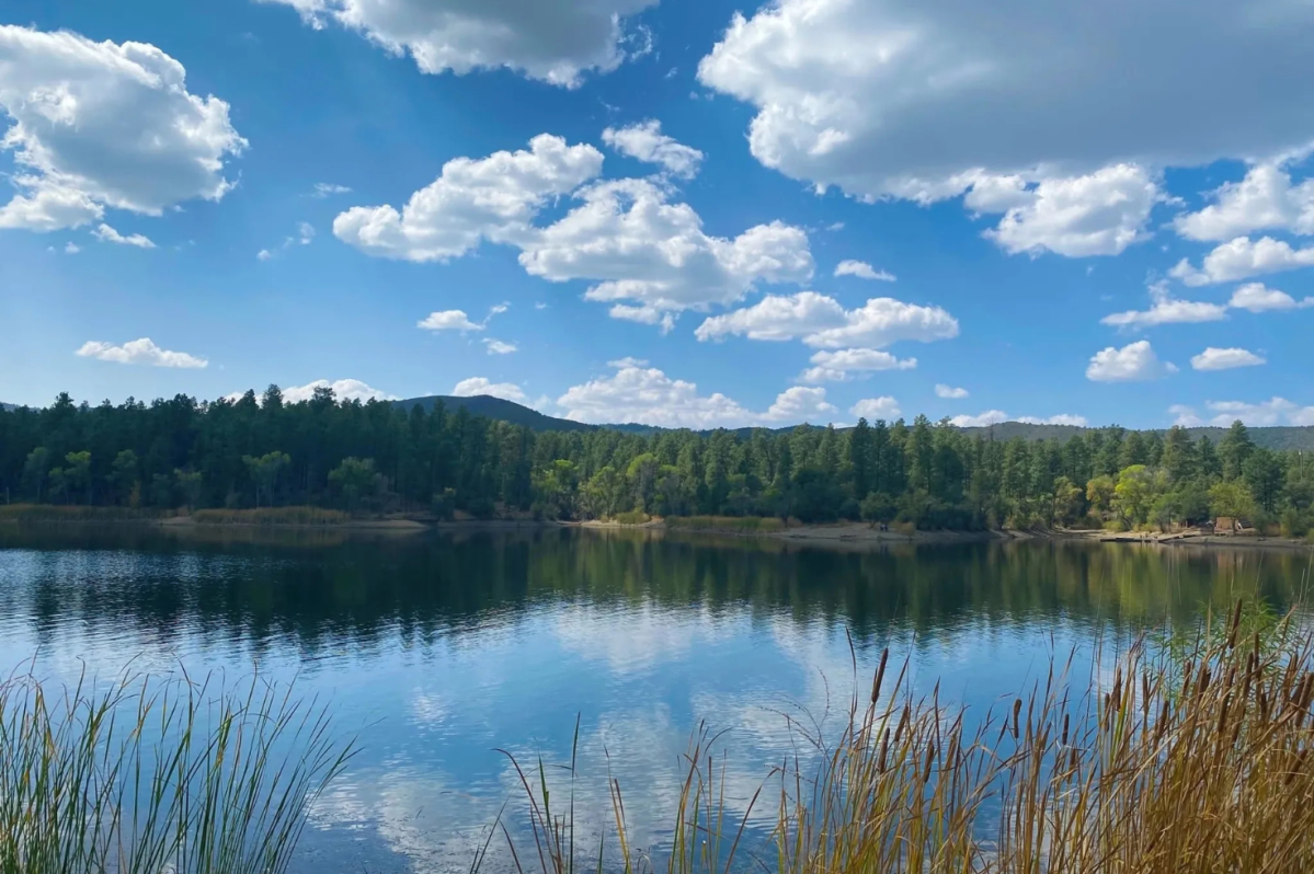 Lynx Lake: One of the Best Lakes in Arizona for Swimming, Fishing, and ...