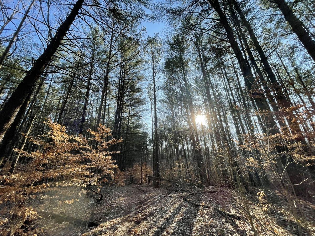 One Of The Best Long Hikes In Indiana Is An Outdoor Playground