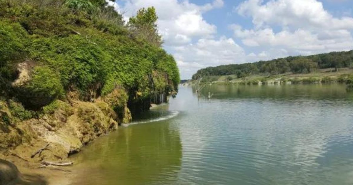 Take An Easy Hike Through Crockett Gardens And Falls, A Tropical ...