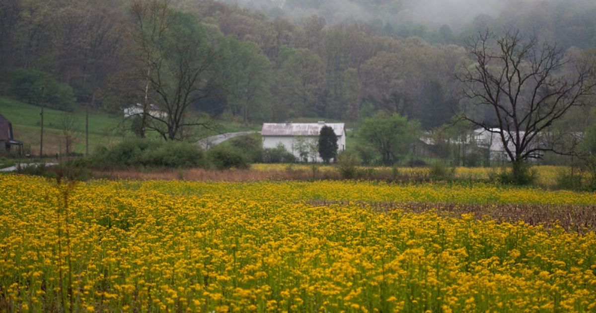 You'll Find Geodes In Indiana Within Beautiful Brown County