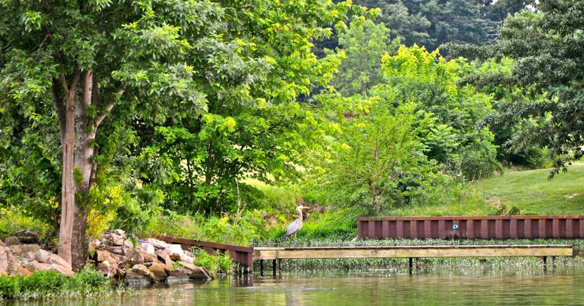 There’s Something Magical About These 13 Illinois Lakes In The Summer
