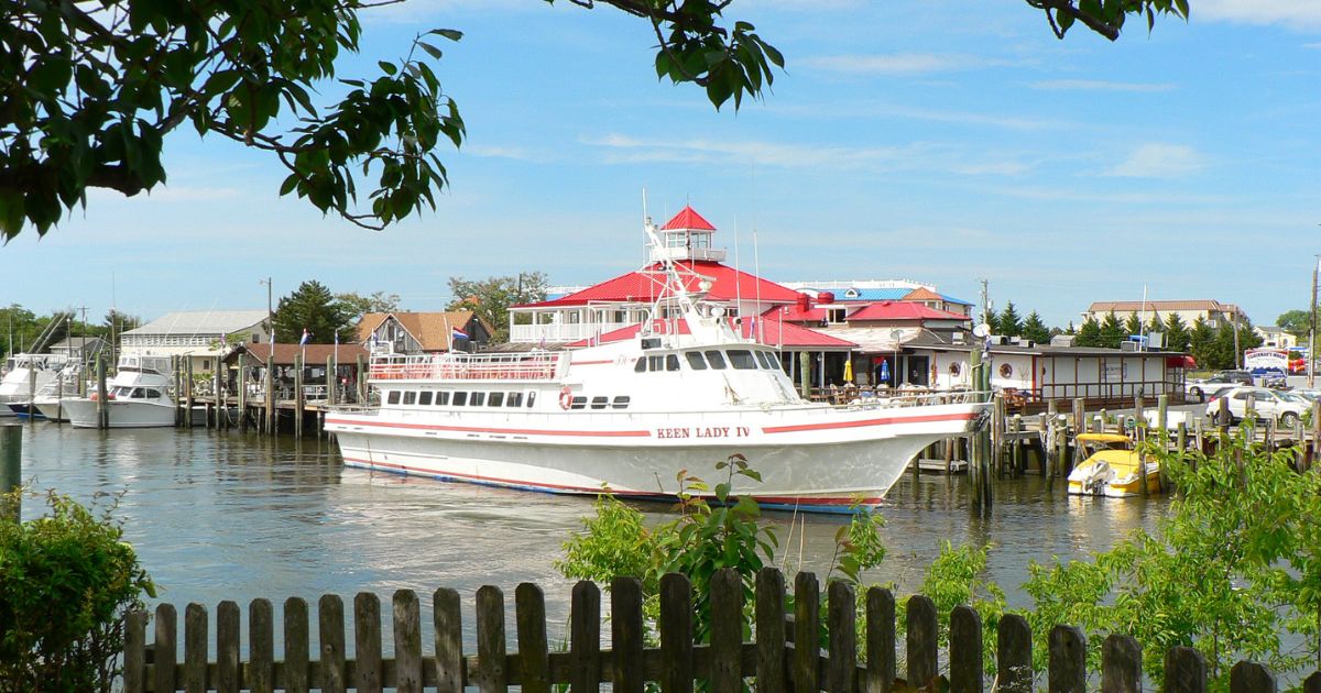 Go Whale Watching In Delaware For A Whale Of A Time