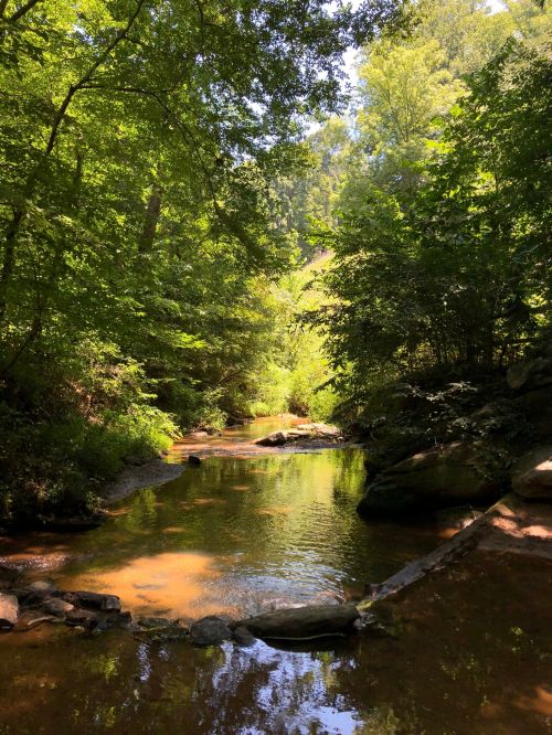 Chicopee Woods In Gainesville, GA Is A Hidden Nature Preserve