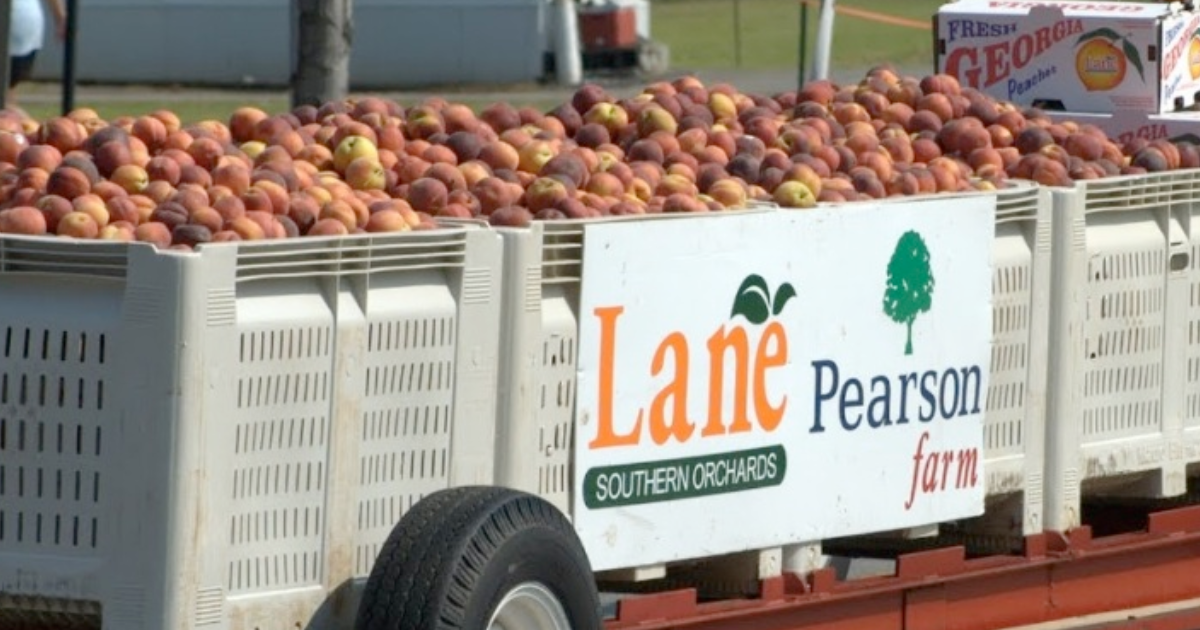 Few Foods Are As Iconic As The Georgia Peach – And Of Course It Has A ...