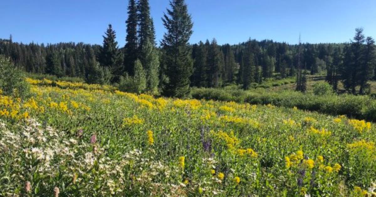 This Northern Utah Lake And Campground Is One Of The Best Places To ...