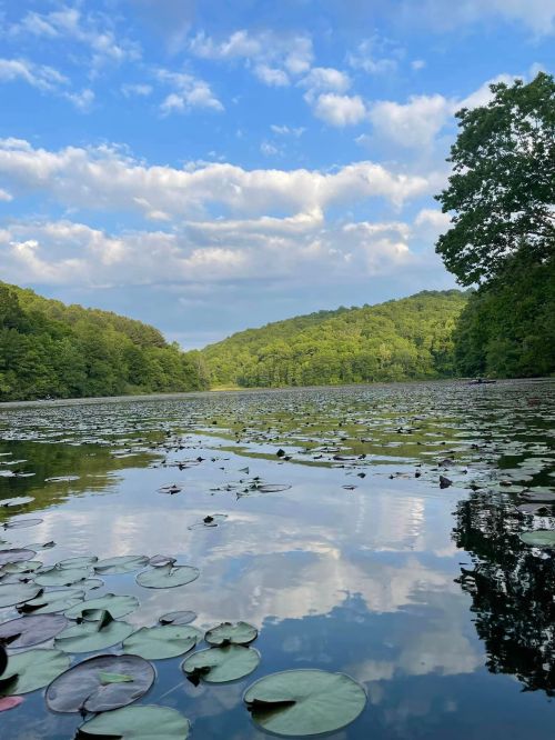 10 Of The Best Lakes In West Virginia For Recreation