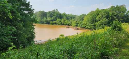 Chicopee Woods In Gainesville, GA Is A Hidden Nature Preserve