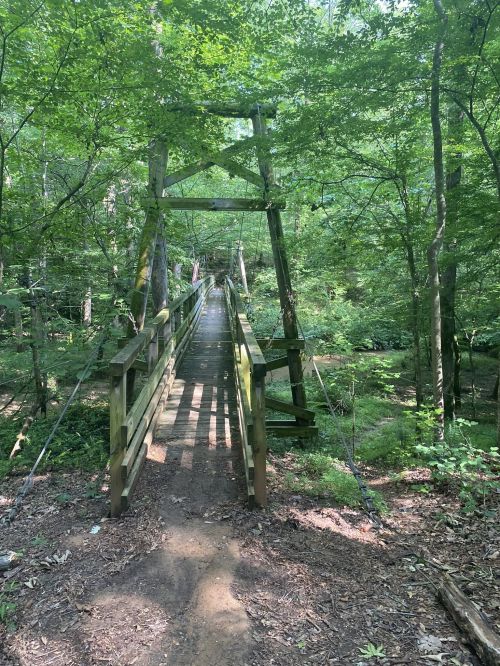 Chicopee Woods In Gainesville, GA Is A Hidden Nature Preserve