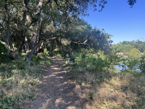 17 Best Hikes In Northern California: Top-Rated Trails To Visit