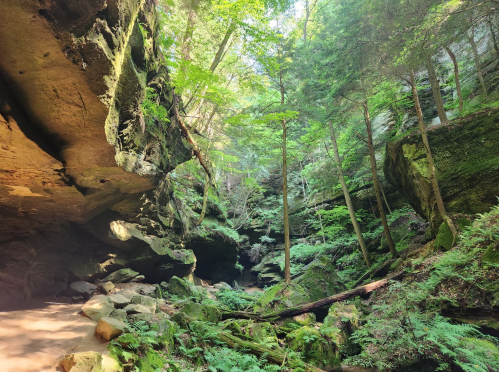 18 Best Hikes In Ohio: Top-Rated Hiking Trails To Visit