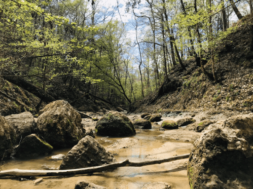 18 Best Hikes In Mississippi: Top-Rated Hiking Trails To Visit