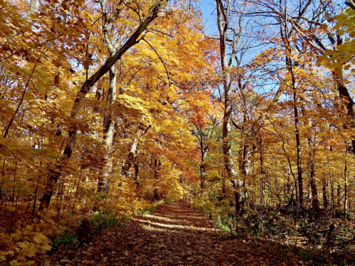 18 Best Hikes In Wisconsin: Top-Rated Hiking Trails To Visit